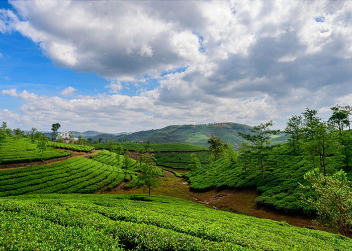 Passing Show Houseboats